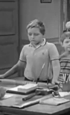 Fred Stevens | Mayberry Wiki | Fandom