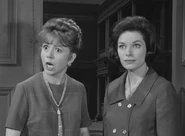 The Arrest of the Fun Girls | Mayberry Wiki | Fandom