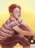 Ron Howard | Mayberry Wiki | Fandom