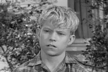 Scott McCartor | Mayberry Wiki | Fandom