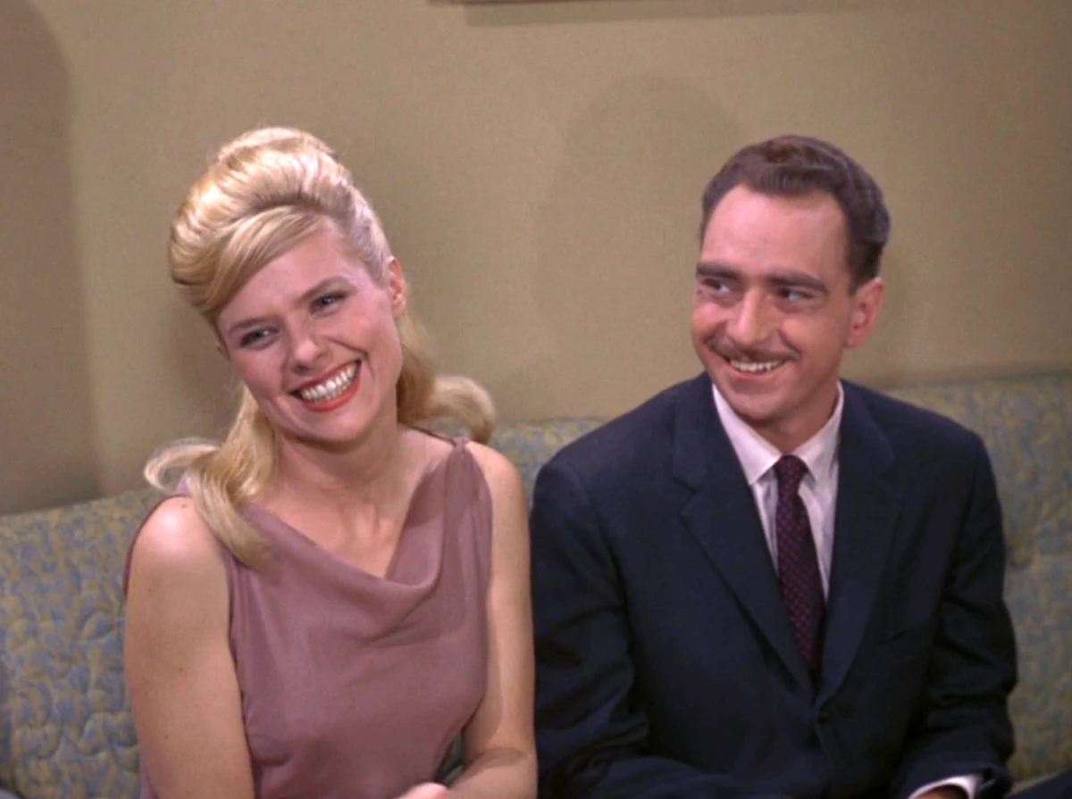 The County Clerk | Mayberry Wiki | Fandom