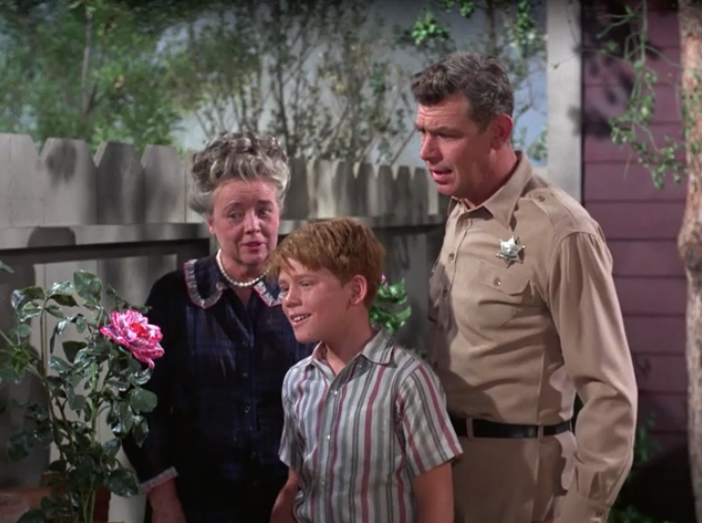 Only a Rose | Mayberry Wiki | Fandom