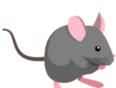 Mouse | Mayhem of the Planet Wiki | Fandom