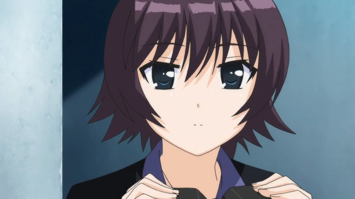Shimako Murasame | Mayoi Neko Overrun! Wiki | Fandom