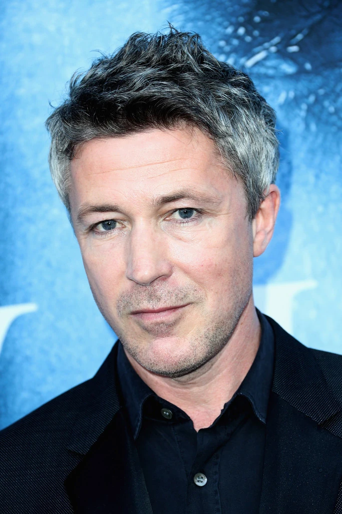 Aidan Gillen | Mayor of Kingstown Wiki | Fandom