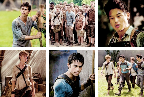 User blog:Kate.moon/New Prequel for Maze Runner | The Maze Runner Wiki ...