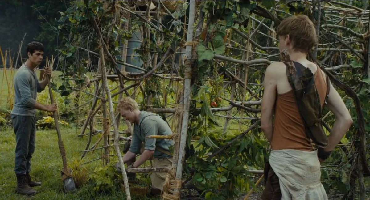 Los Jardines | Wiki Maze Runner | Fandom
