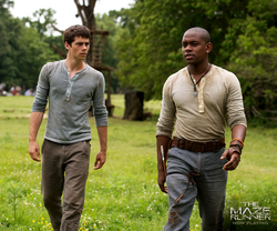 Maze Runner Alby