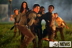 Maze Runner Alby Stung