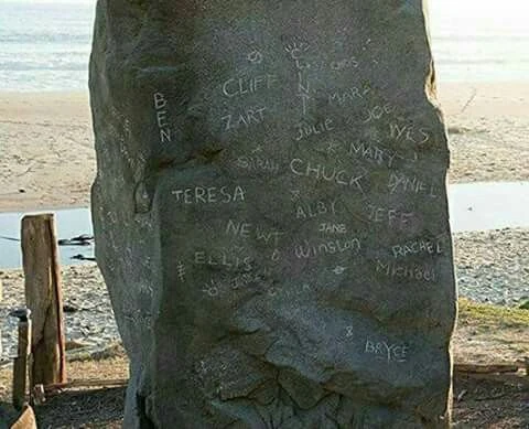 Cliff | The Maze Runner Wiki | Fandom