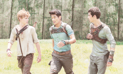 Minho And Thomas Maze Runner