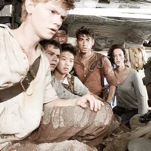 maze runner winston x reader