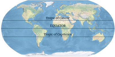 The Scorch | The Maze Runner Wiki | Fandom