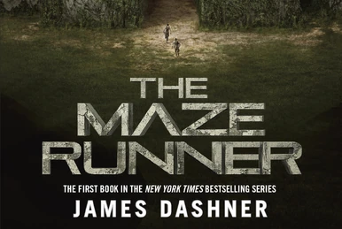 The Maze Runner The Box