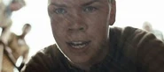 Gally | The Maze Runner Wiki | Fandom