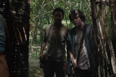 The Maze Runner Homestead