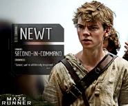 Newt | The Maze Runner Wiki | Fandom