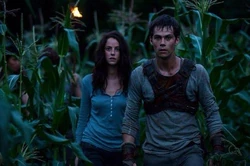 Thomas E Teresa Corredor Do Labirinto Teresa Agnes | Wiki Maze Runner
