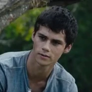 Thomas | Wiki Maze Runner | Fandom
