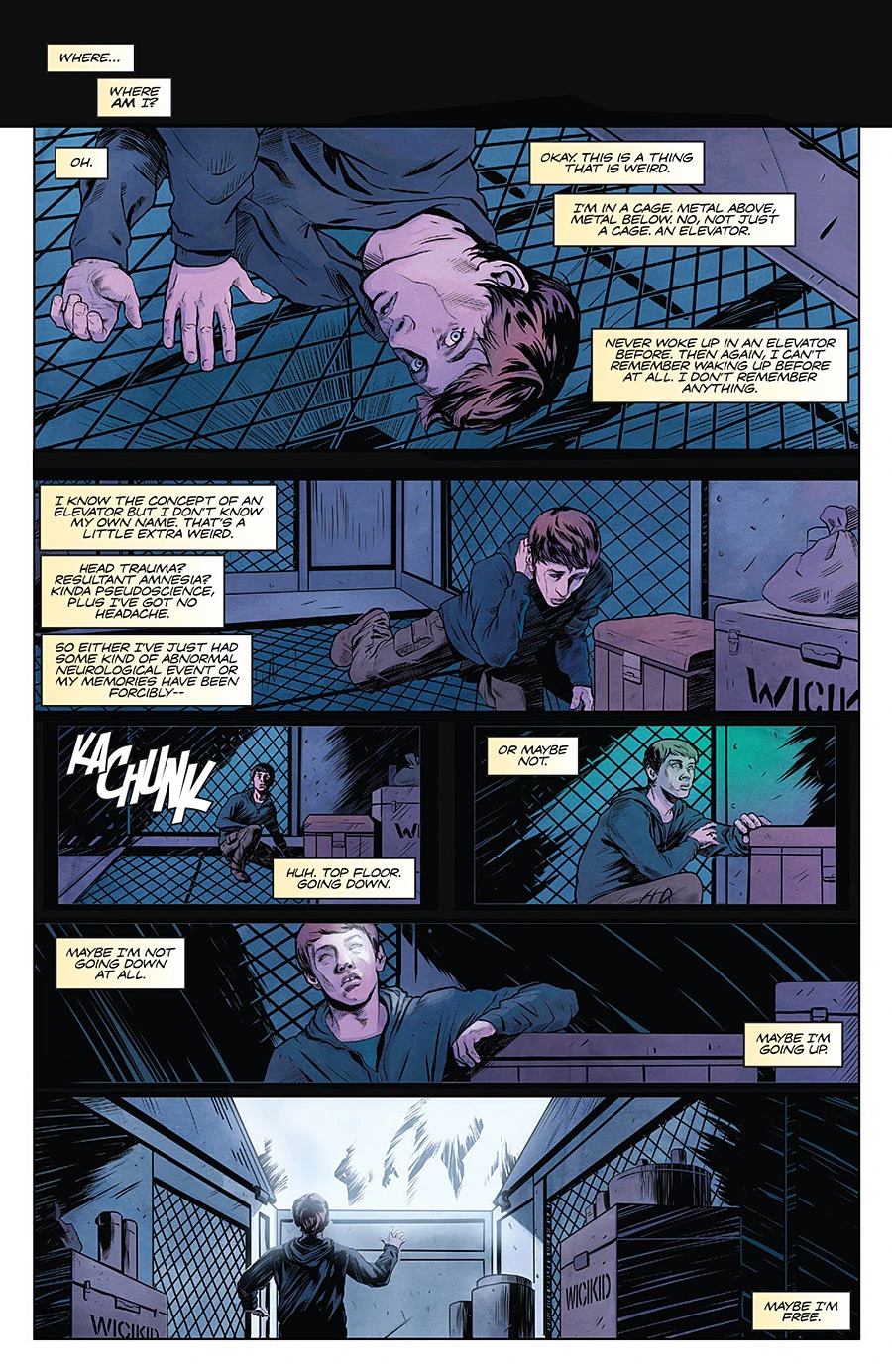 The True Maze | Wiki Maze Runner | Fandom