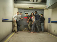 Gladers | The Maze Runner Wiki | Fandom