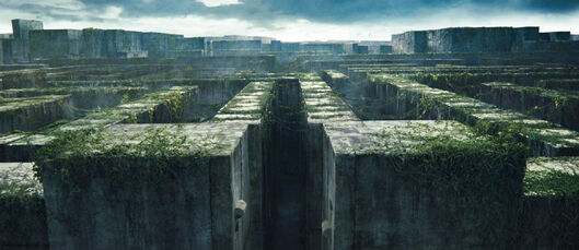 El Laberinto | Wiki Maze Runner | Fandom