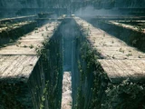 Category:Locations | The Maze Runner Wiki | Fandom