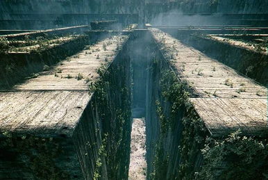 Griever Hole Maze Runner