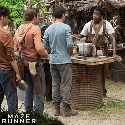The Maze Runner Kitchen Fry Pans