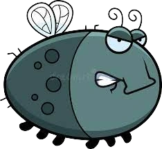 Big fly | Mazniac Wiki | Fandom