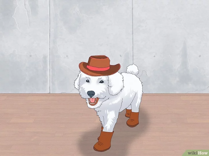 Dogs | My Brother, My Brother and Me Wiki | Fandom