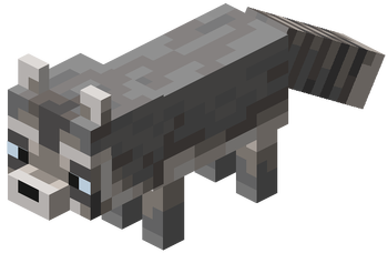 Raccoon | Minecraft Advanced Wiki | Fandom