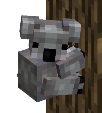 Koala | Minecraft Advanced Wiki | Fandom