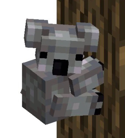 Koala | Minecraft Advanced Wiki | Fandom