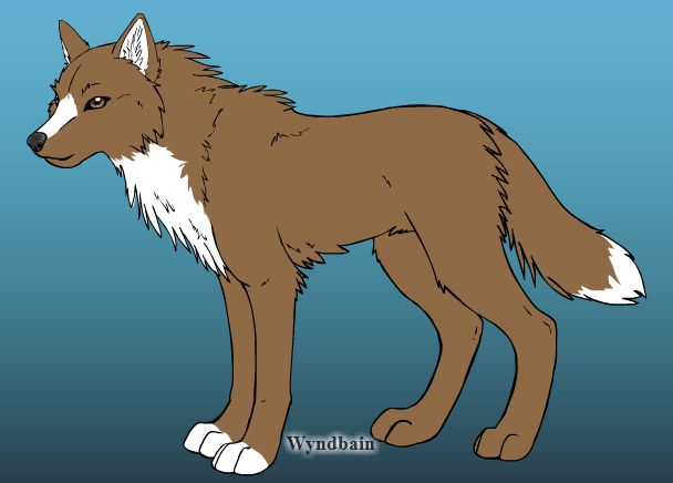 Kota | MC and BB Pack Wikia | Fandom