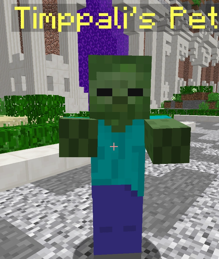 Zombie Pet | MCCentral Wiki | Fandom
