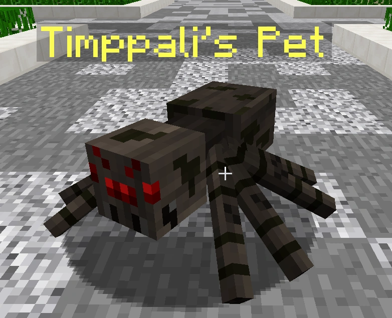 Spider Pet | MCCentral Wiki | Fandom