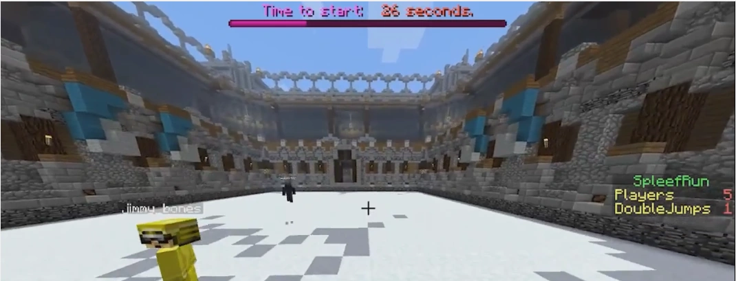 The Arena | MCCentral Wiki | Fandom