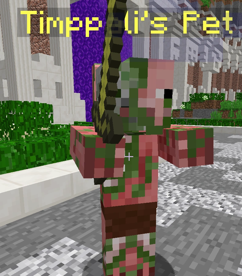 Zombie Pigman Pet | MCCentral Wiki | Fandom
