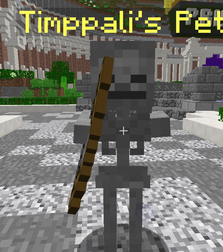 Skeleton Pet | MCCentral Wiki | Fandom