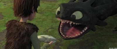Toothless (How To Train Your Dragon) | McCarten Comics Wiki | Fandom