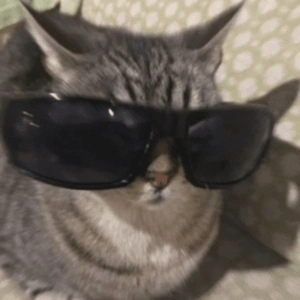 Duck | MCCF Wiki | Fandom