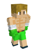 SolidarityGaming | MC Championship Wiki | Fandom