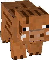 Boar | Minecraft Ideas Wiki | Fandom