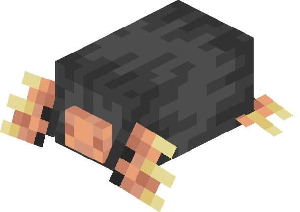 Mole | Minecraft Ideas Wiki | Fandom