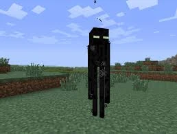 Ender-Zombie | Minecraft Ideas Wiki | Fandom