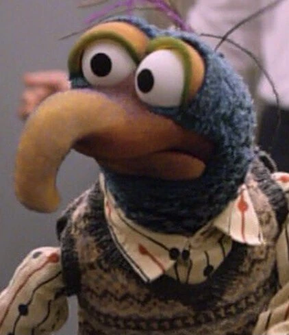 Gonzo the Great | Muppet Central Roleplay Wiki | Fandom