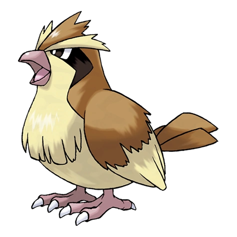 Pidgey | McLeodGaming Wiki | Fandom