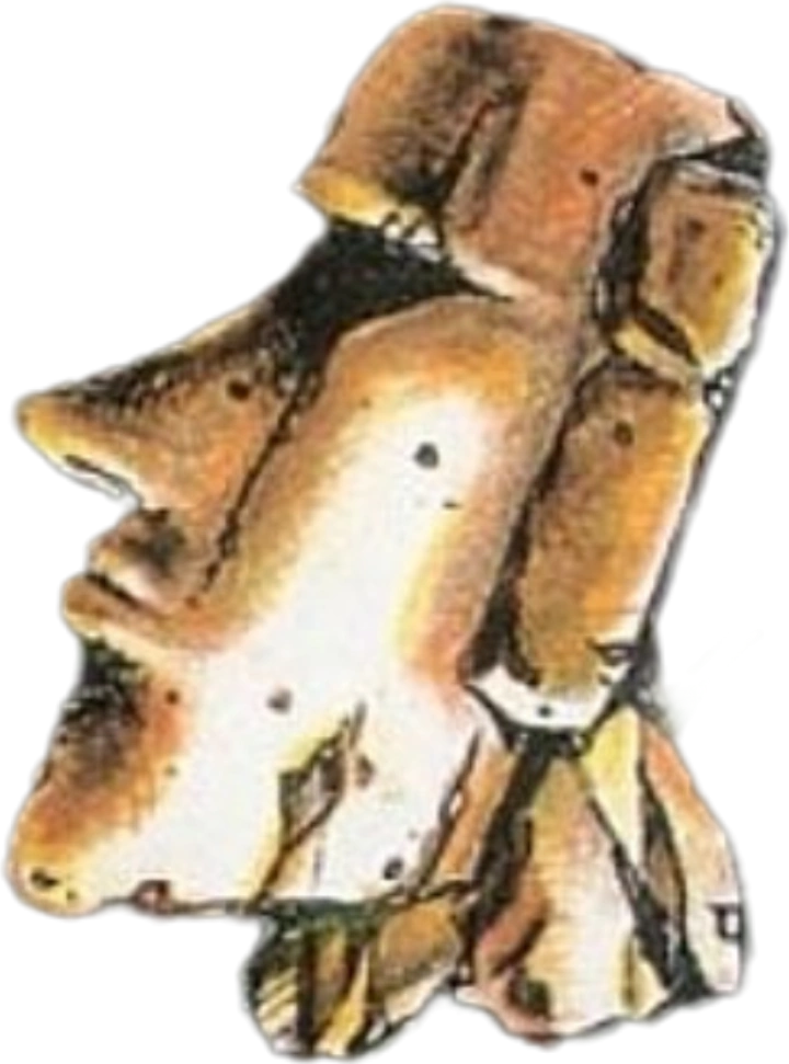 Moai | McLeodGaming Wiki | Fandom