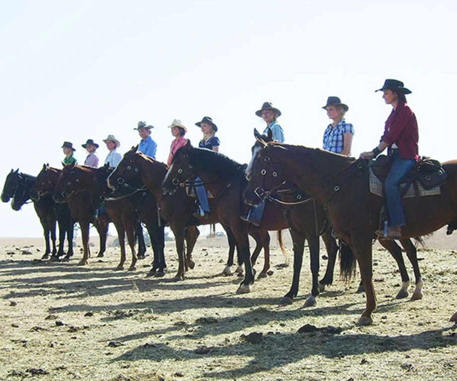 The Long Paddock | McLeod's Daughters Wiki | Fandom